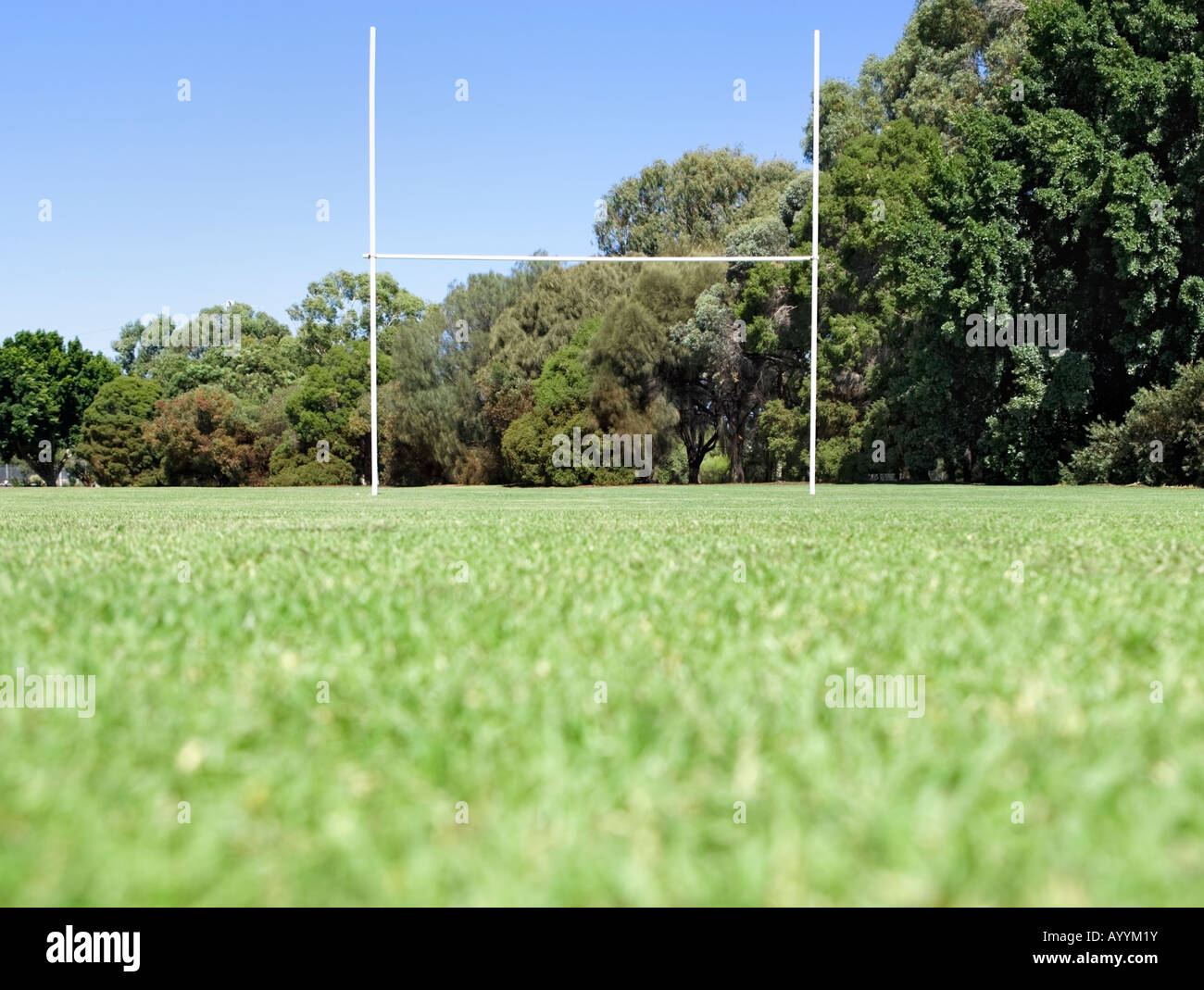 Looking up towards rugby posts in a sports field from grass level Stock ...