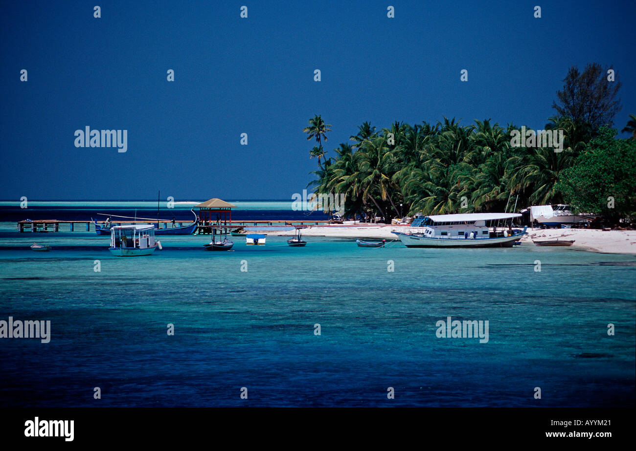Native maldives island Rhasdoo Maldives Islands Indian ocean Rasdhoo ...