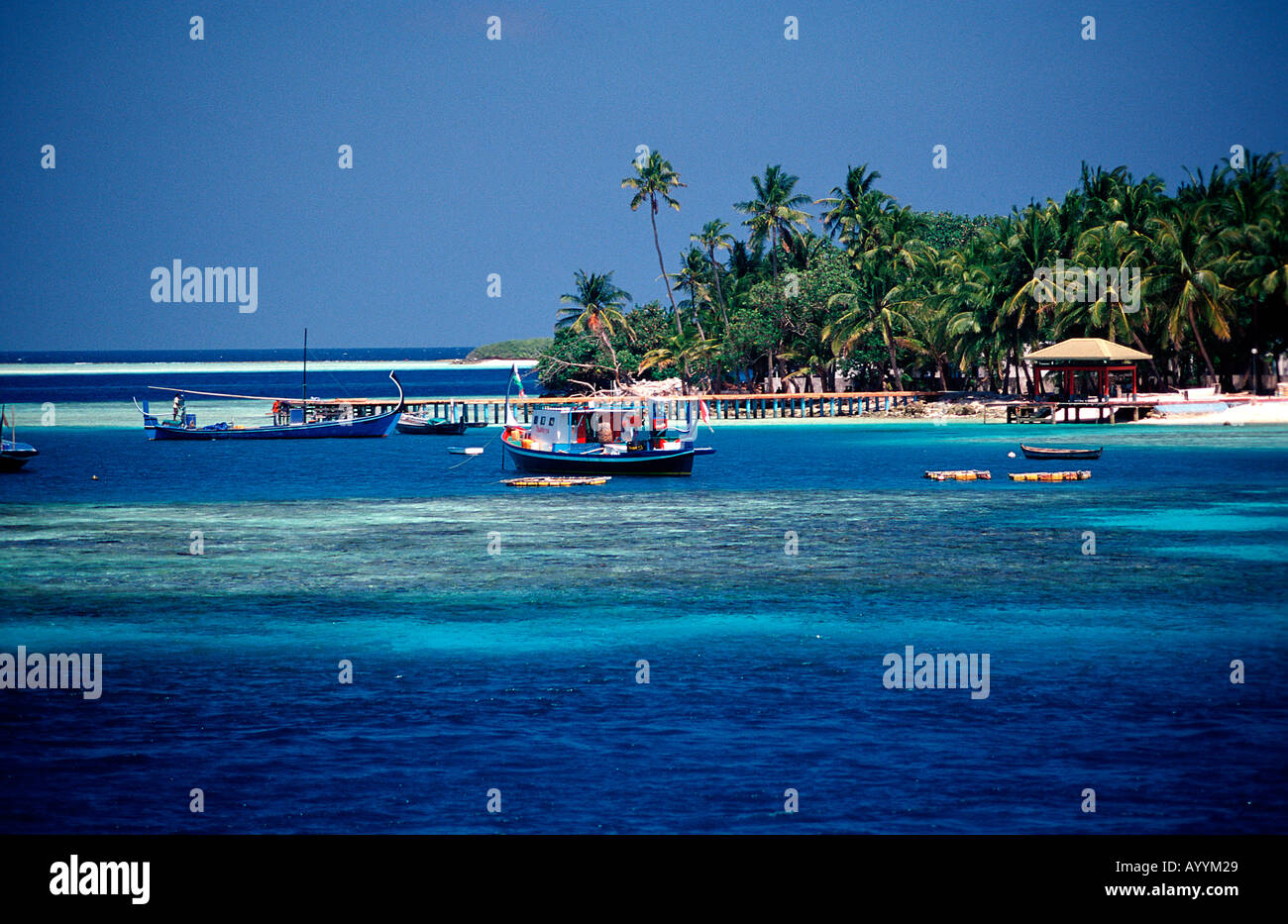 Native maldives island Rhasdoo Maldives Islands Indian ocean Rasdhoo ...