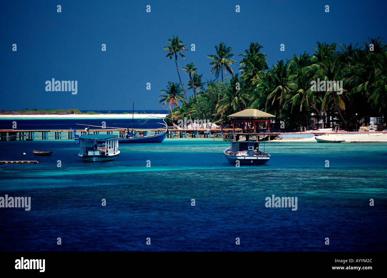 Native maldives island Rhasdoo Maldives Islands Indian ocean Rasdhoo ...