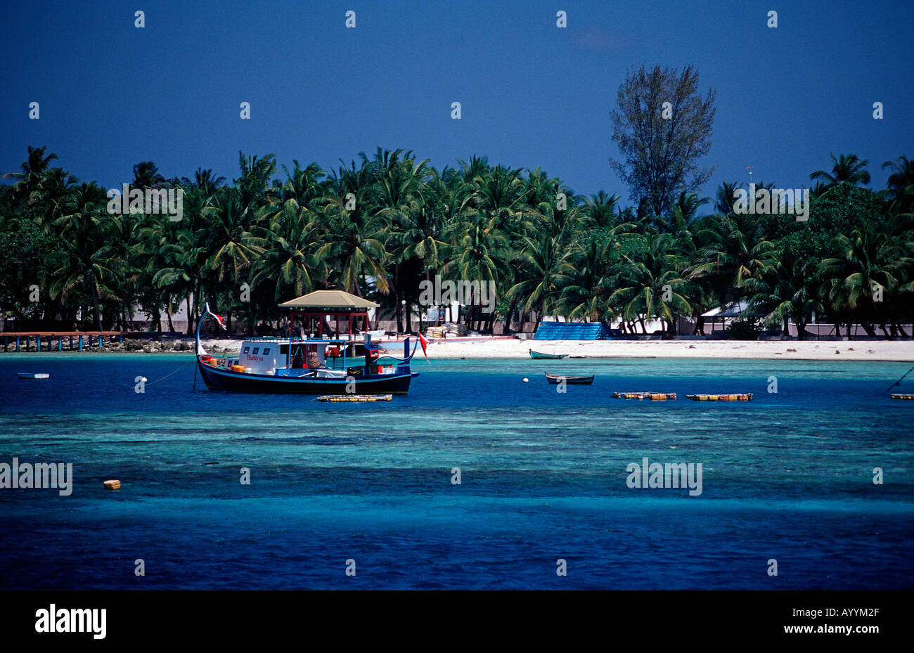 Native maldives island Rhasdoo Maldives Islands Indian ocean Rasdhoo ...