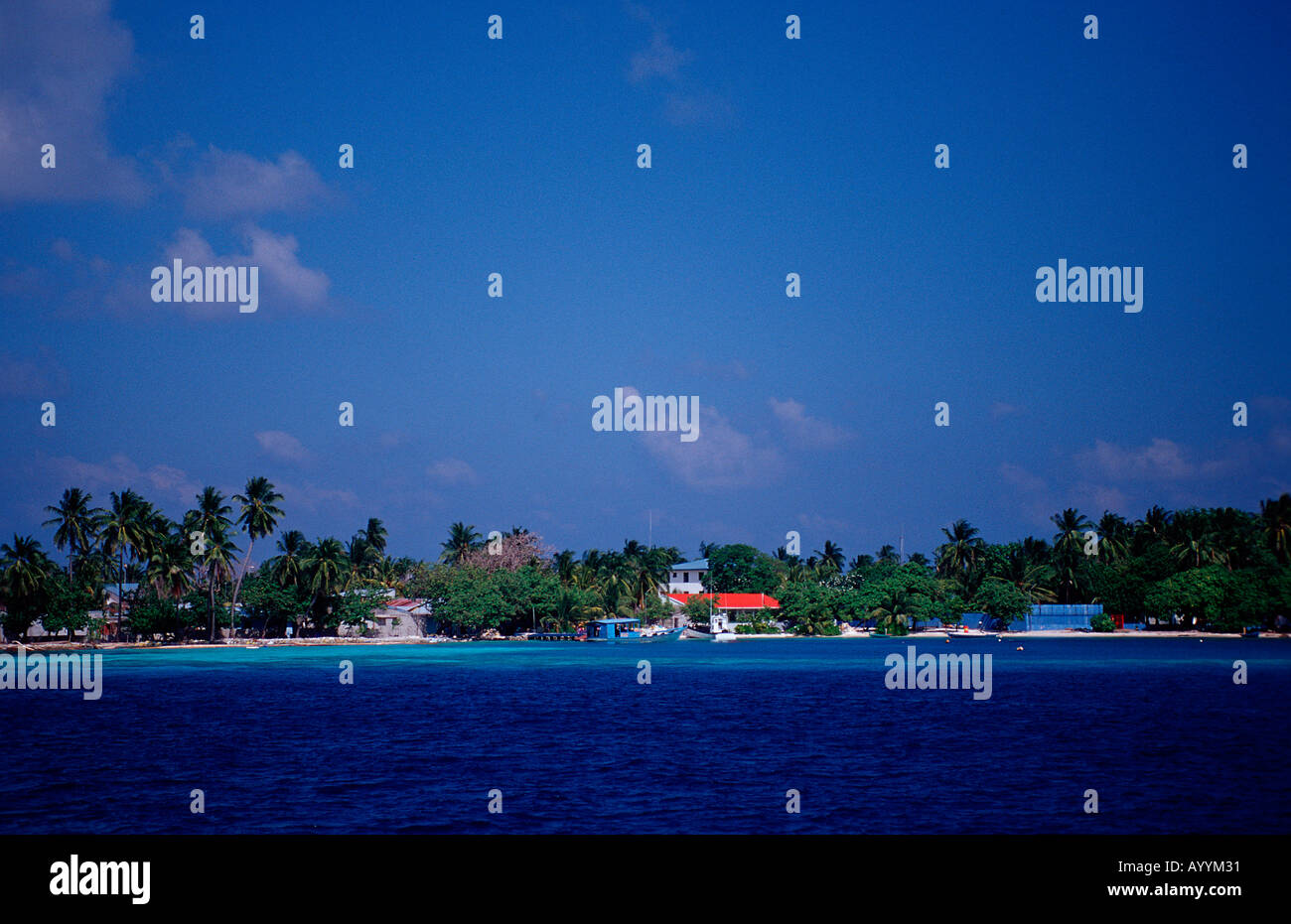 Native maldives island Rhasdoo Maldives Islands Indian ocean Rasdhoo ...