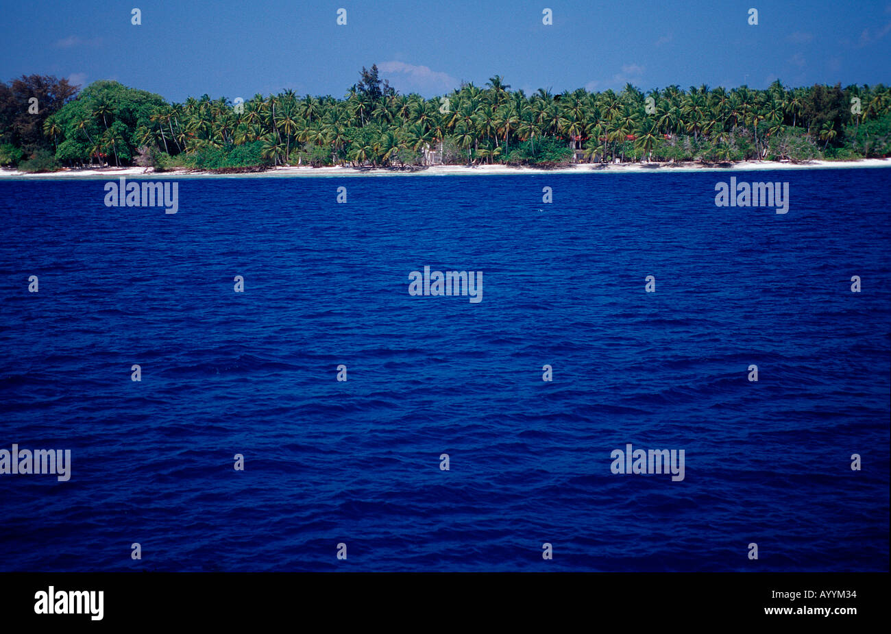 Native maldives island Rhasdoo Maldives Islands Indian ocean Rasdhoo ...
