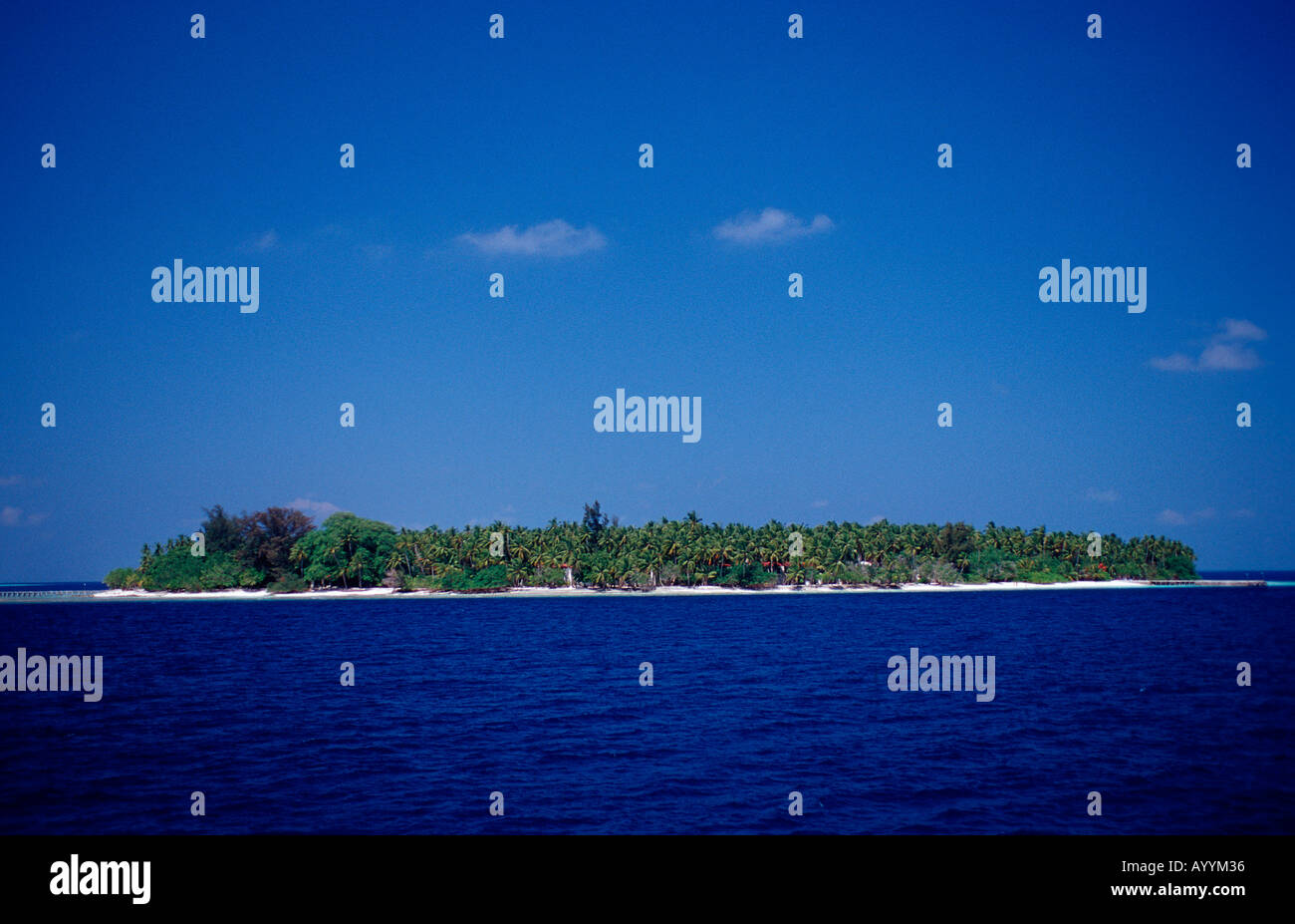 tourist maldives island Maldives Islands Indian ocean Ari Atol Atoll ...