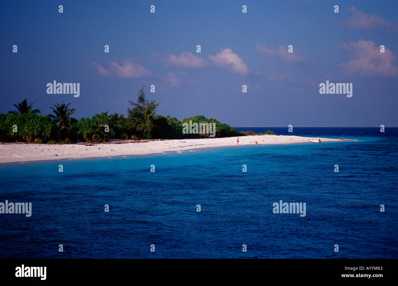 tourist maldives island Maldives Islands Indian ocean Ari Atol Atoll Stock Photo - Alamy