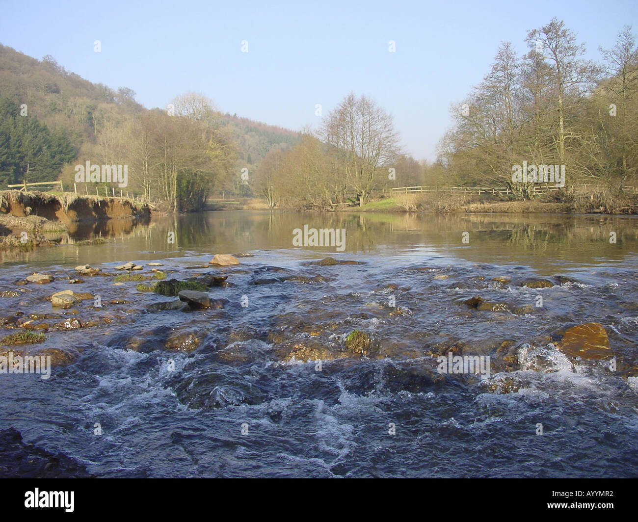 River Exe Devon Stock Photo - Alamy