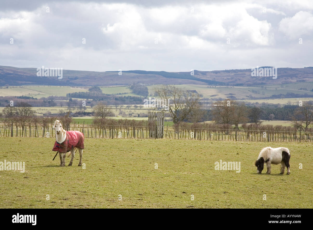 Traditional rural england hi-res stock photography and images - Alamy