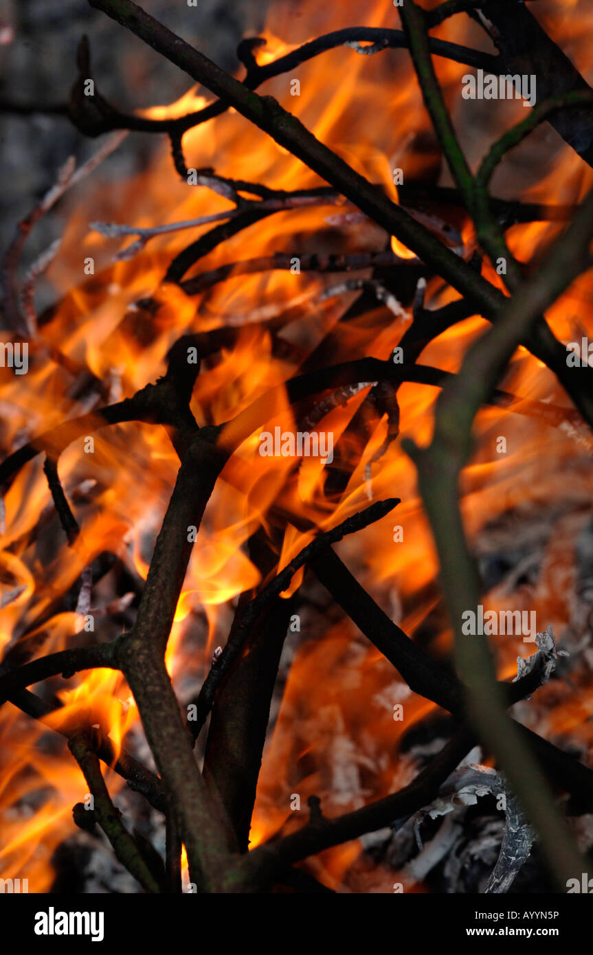 A Garden Bonfire Stock Photo - Alamy