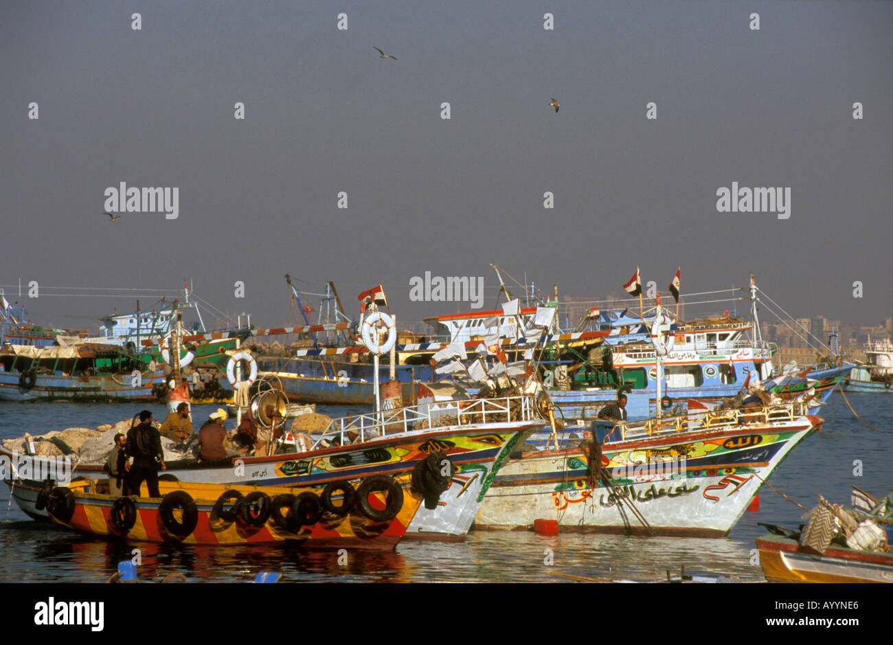 Fishing boats in harbour Alexandria Egypt Stock Photo - Alamy