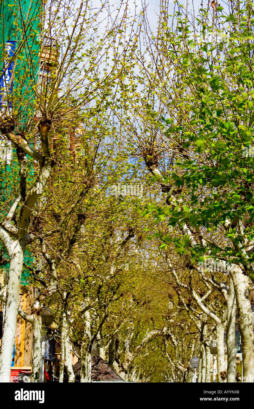 Donostia San Sebastian Stock Photo - Alamy