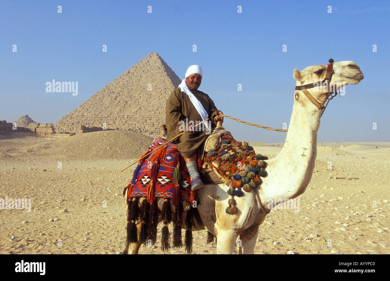 Arab on camel beside Pyramids of Giza Cairo Egypt Stock Photo - Alamy