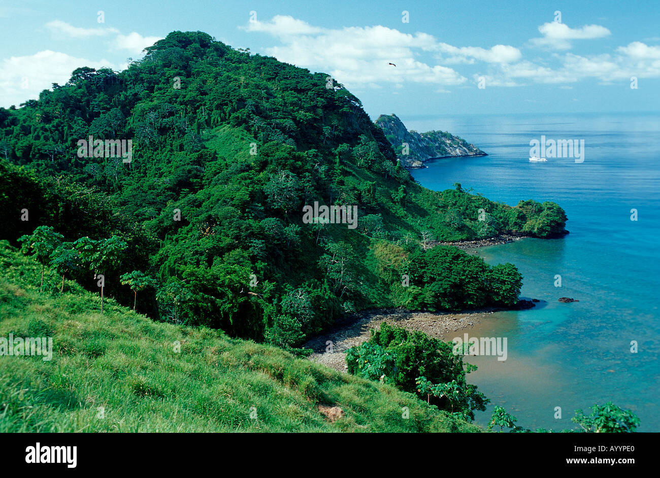 Cocos island costa rica beach hi-res stock photography and images - Alamy