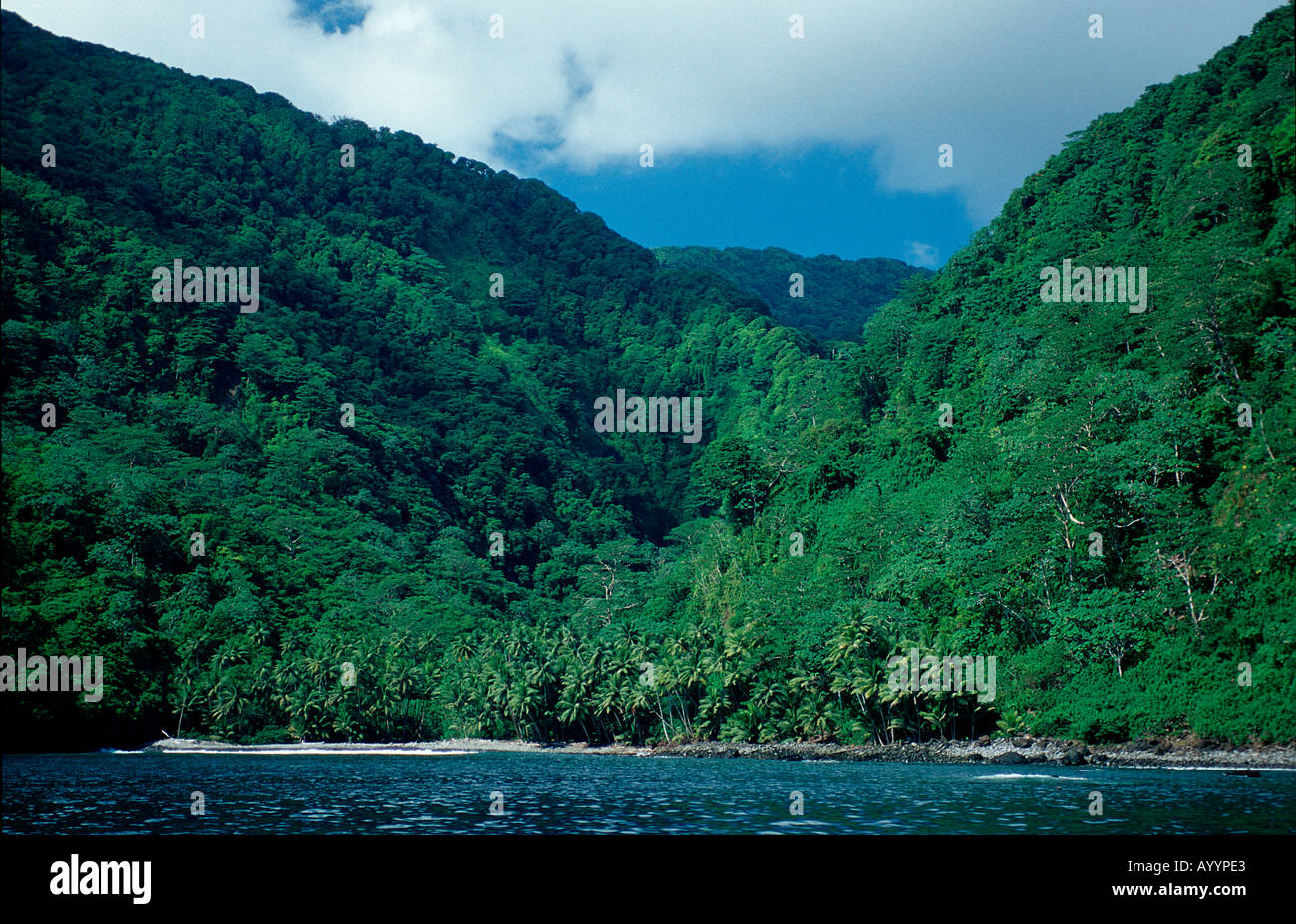 Cocos island Costa Rica South america Cocos Island South america Latin ...