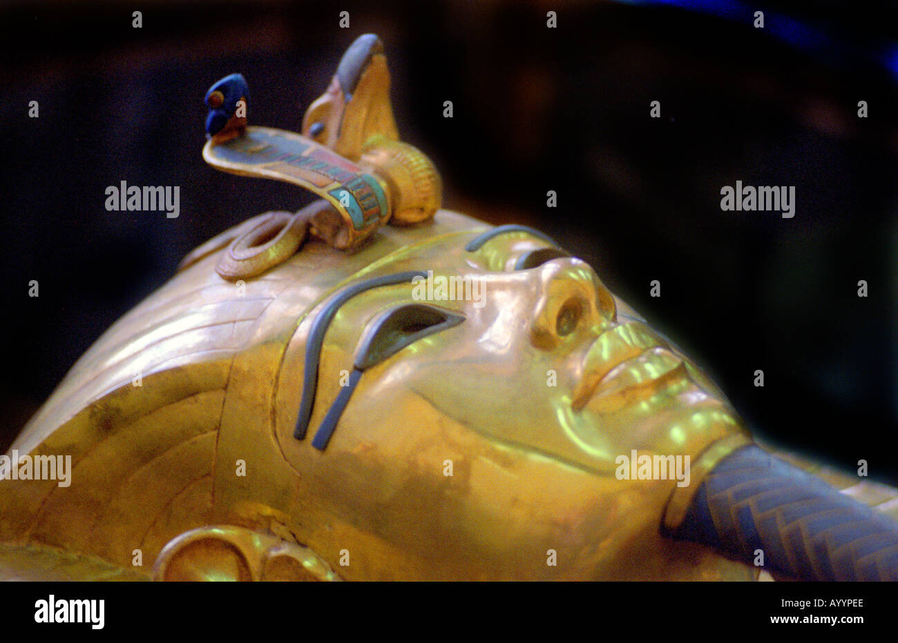 Golden coffins of Tutankhamun Cairo Museum Egypt Stock Photo - Alamy