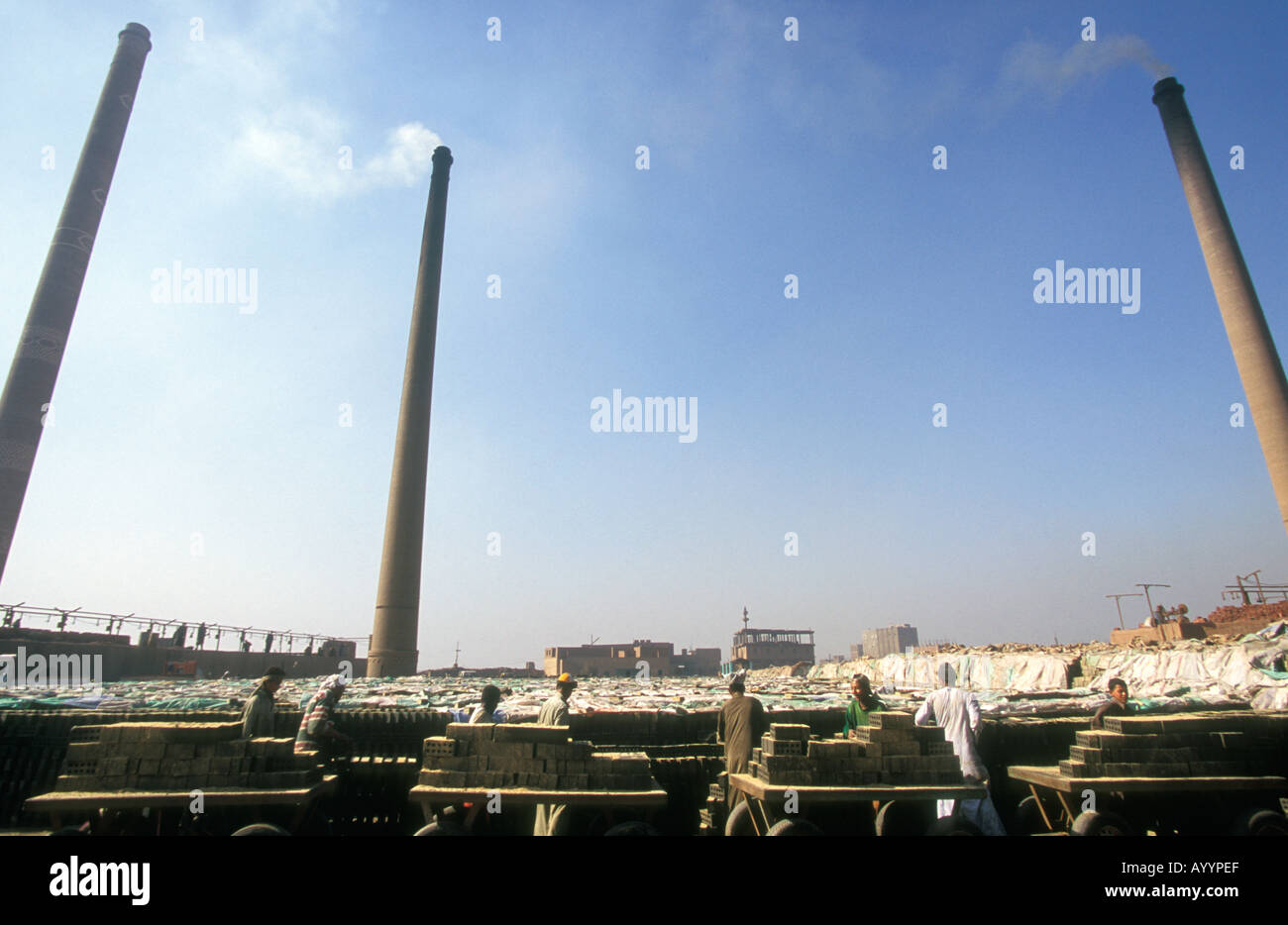 Brick kiln community in Helwan near Cairo Egypt Brooke hospital for ...