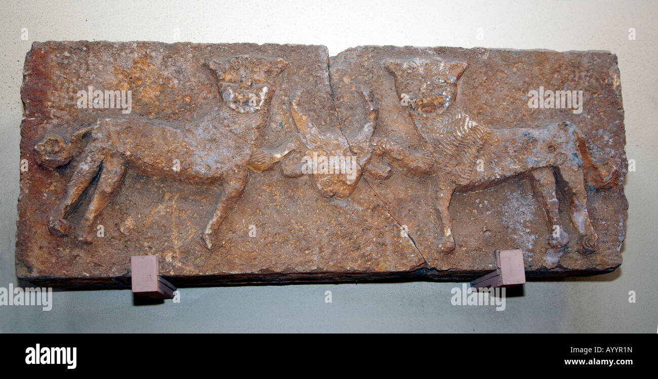 Neolithic Carving at the Jamahiriya Museum, Tripoli, Libya, North ...