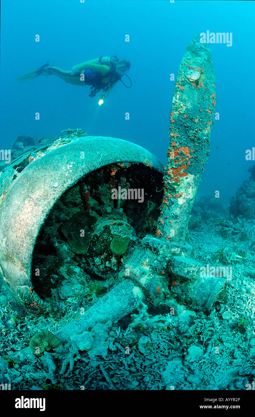 Sunken aeroplane and scuba diver Papua New Guinea Pacific Ocean Stock ...
