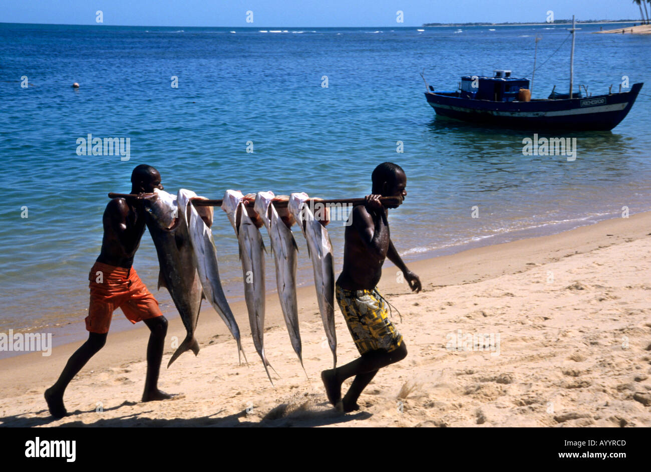 Bahia brazil brazilian boat sailing hi-res stock photography and images ...