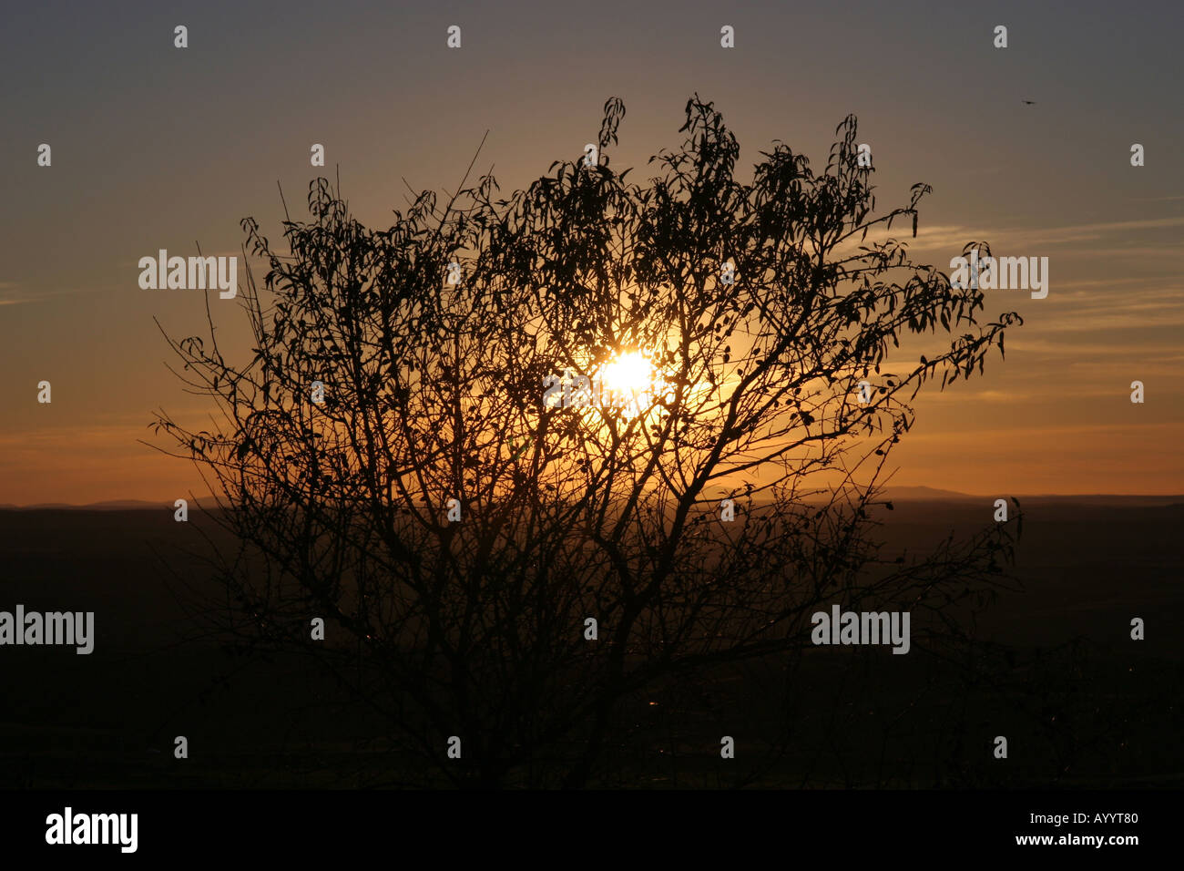 Slight outline hi-res stock photography and images - Alamy