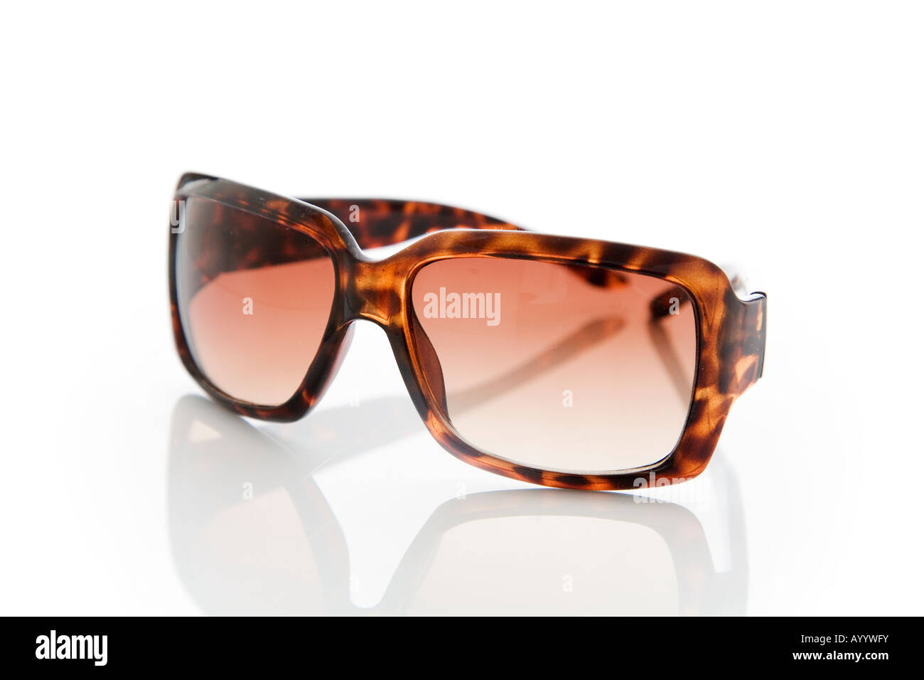 Tortoise shell and white hi-res stock photography and images - Alamy