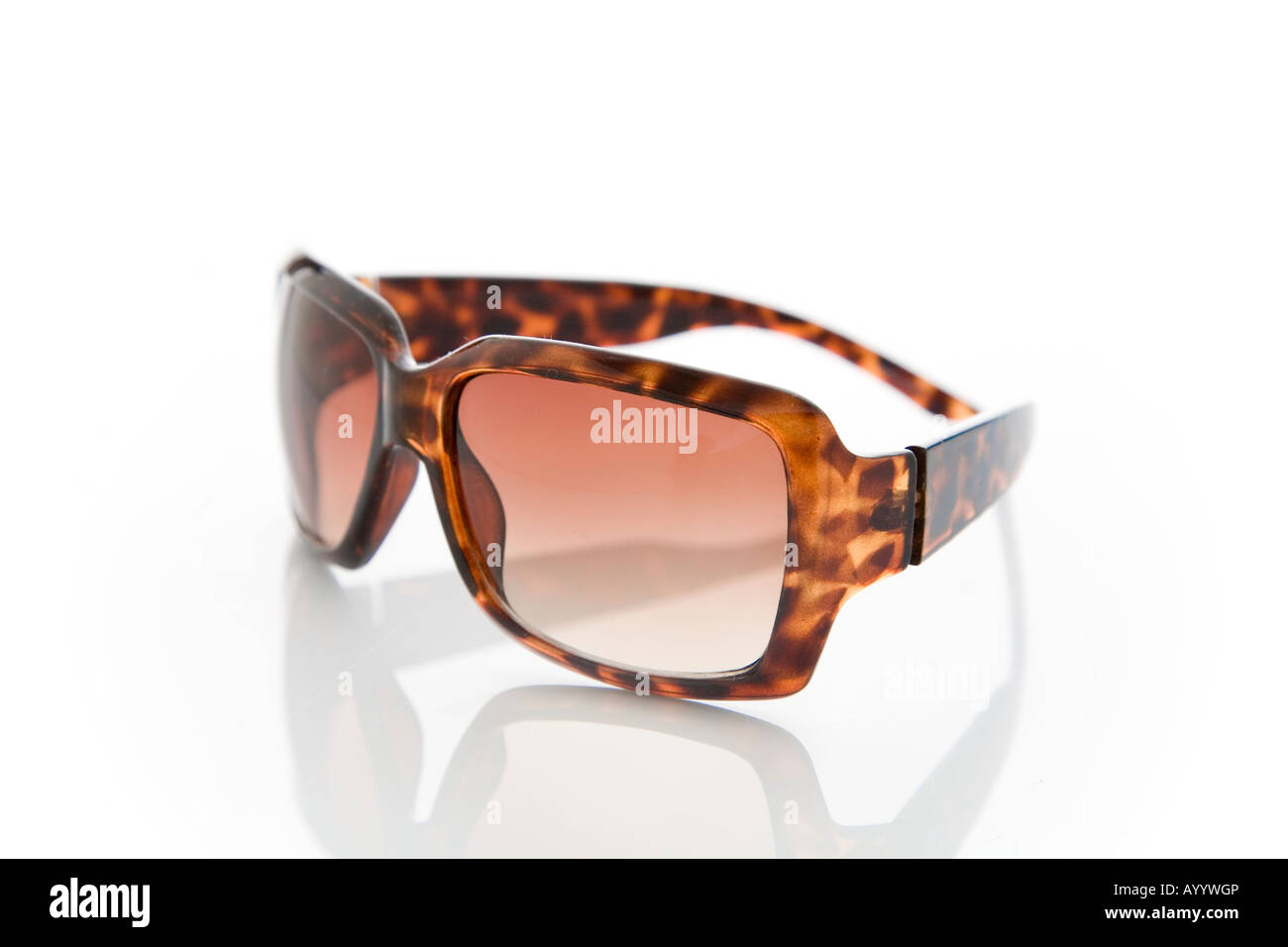 Tortoise Shell And White Stock Photos & Tortoise Shell And White Stock ...