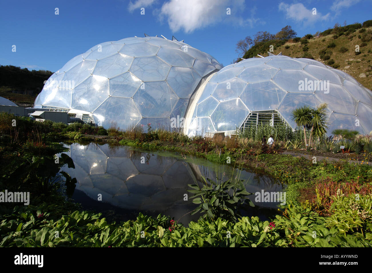 October sunshine and a full garden with the Eden Projects Warm ...