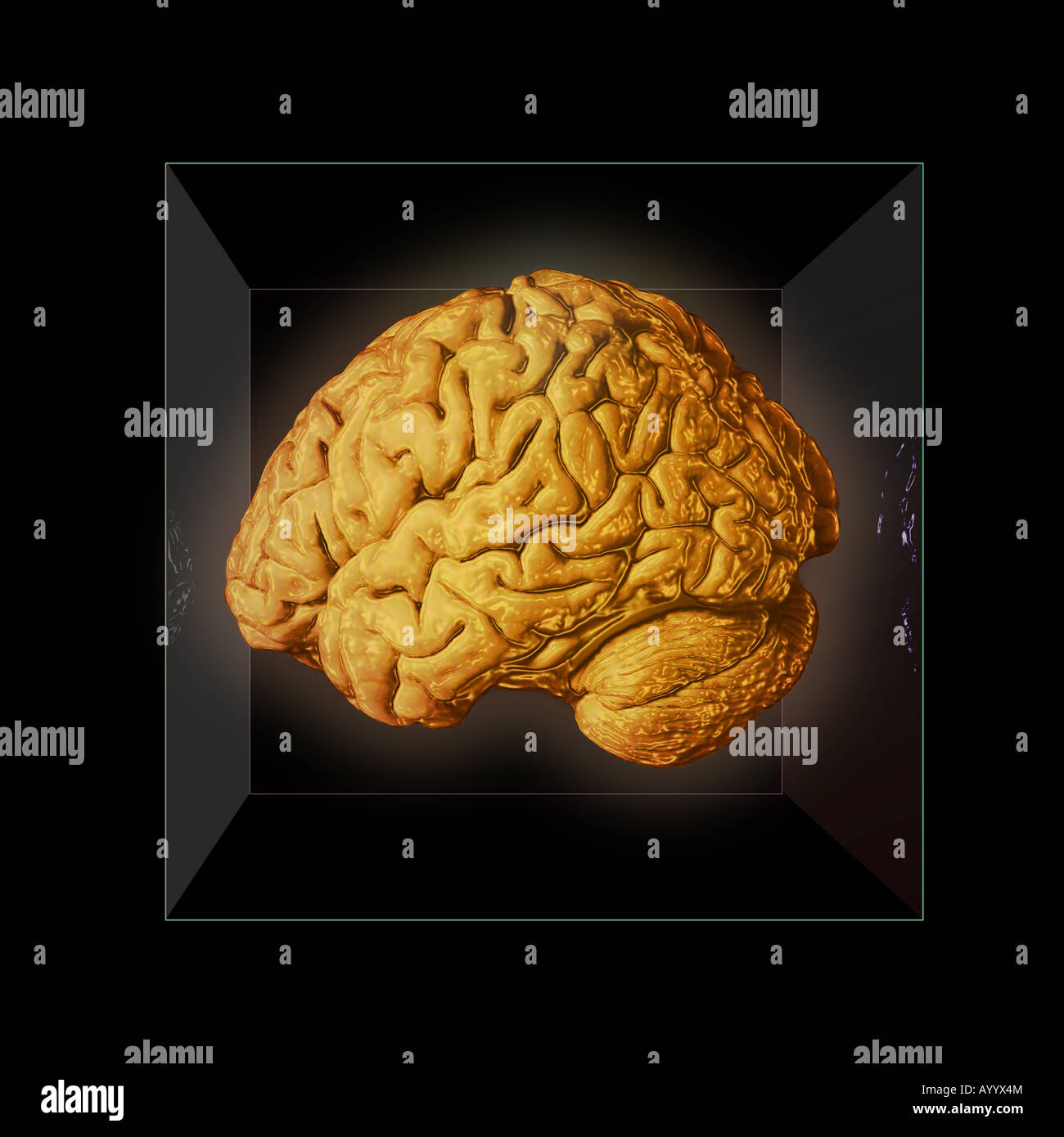 Super brain hi-res stock photography and images - Alamy