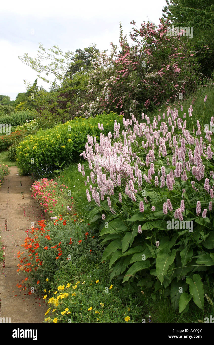 Oxfordshire Alkerton Brook Cottage Gardens border by the tennis court ...