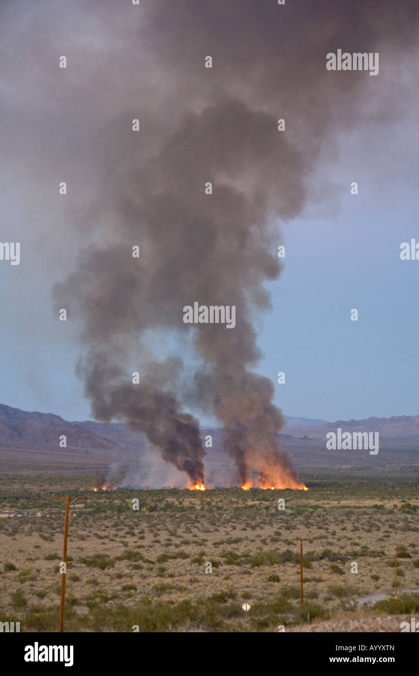 Desert Fire in Oasis by the Salton Sea Stock Photo - Alamy