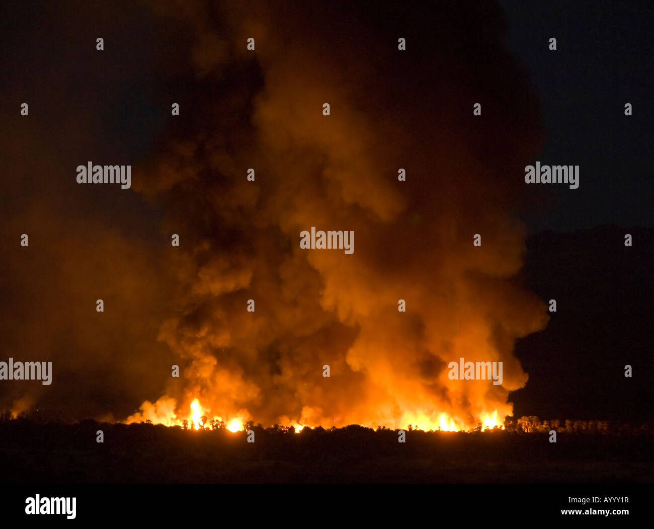 Fire oasis hi-res stock photography and images - Alamy