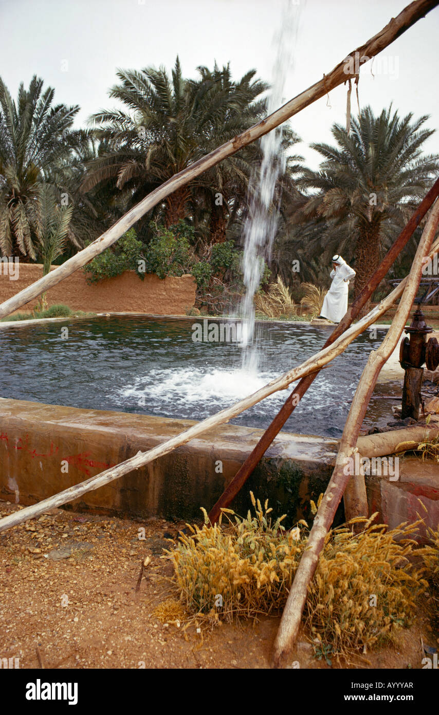 Al Hassa Saudi Arabia Irrigation Pool Running Water Palm Trees Stock ...
