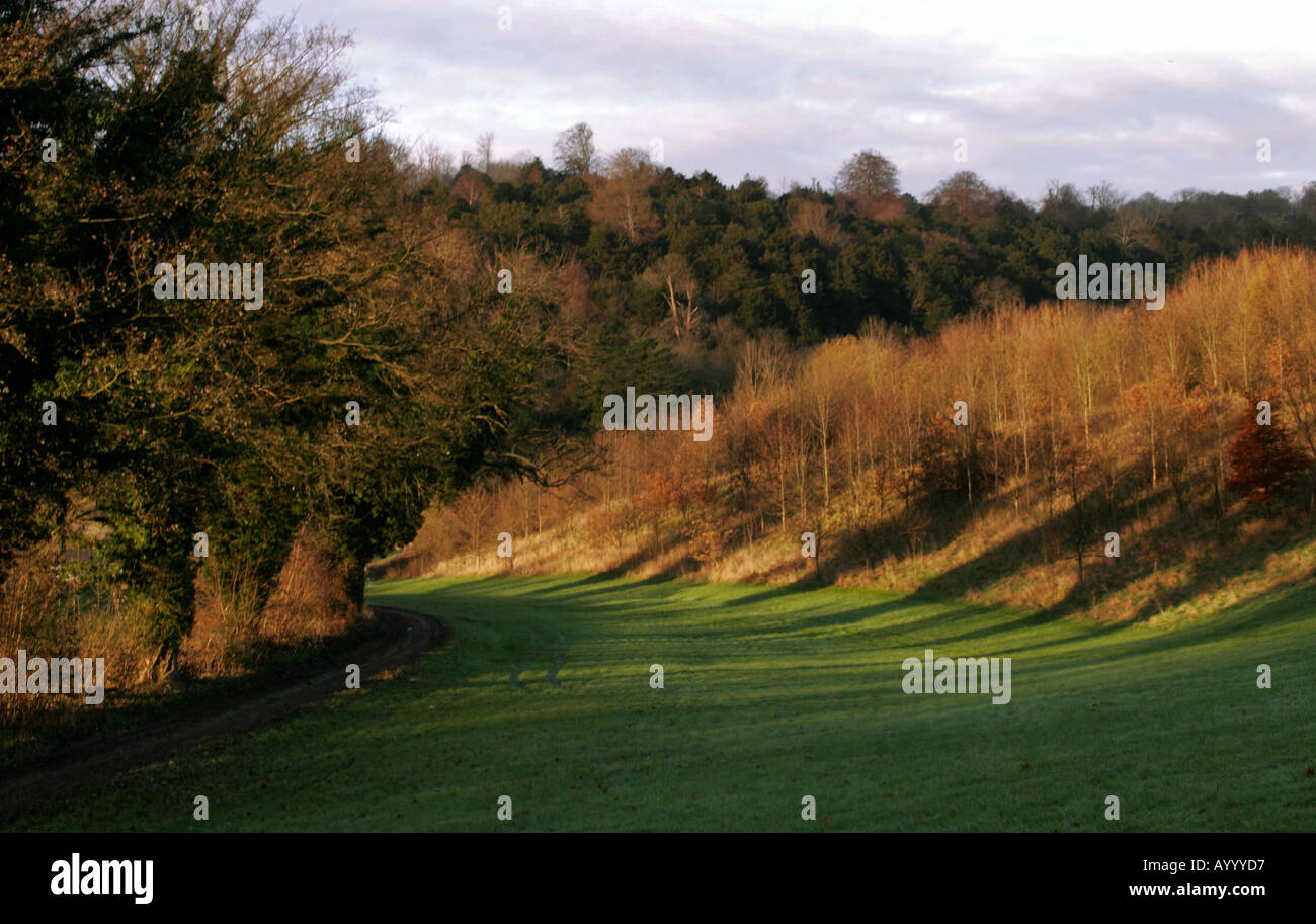 Box hill surrey hikers hi-res stock photography and images - Alamy