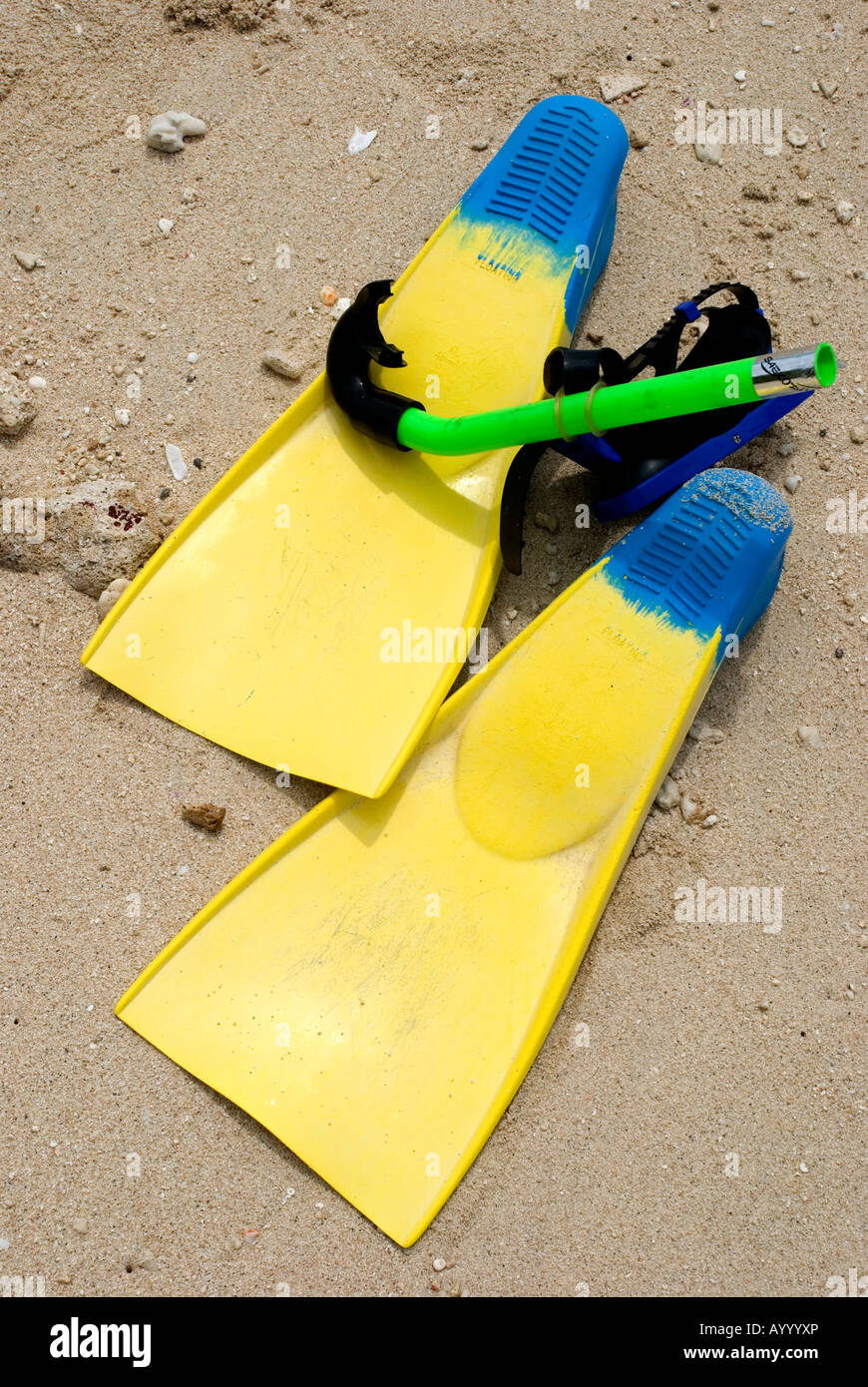 fiji mamanuca islands flippers and snorkel at beachcomber island Stock ...