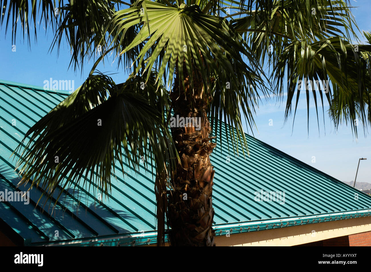 Shaded rooftop hi-res stock photography and images - Alamy