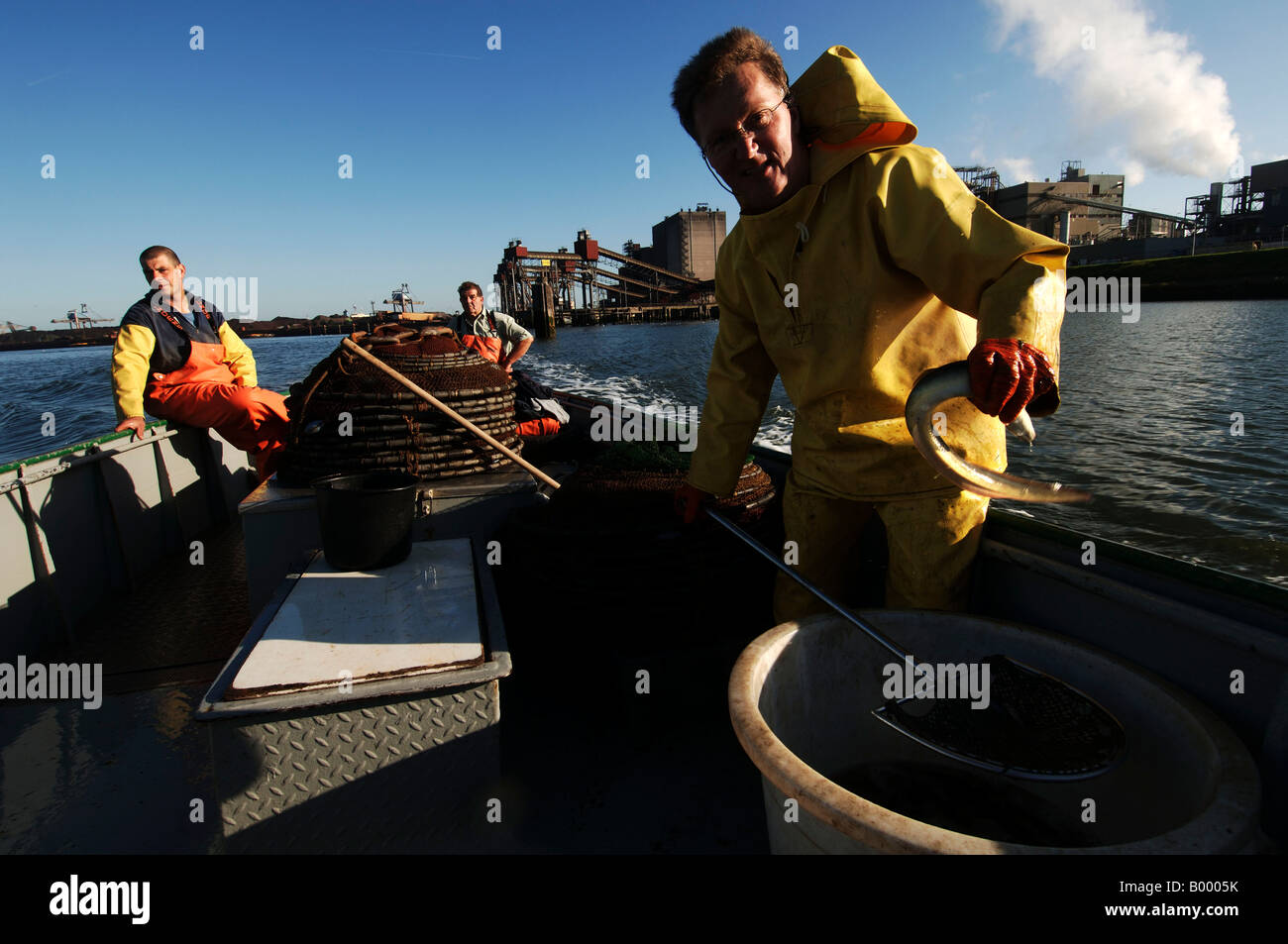 Port of Rotterdam eel fishing Stock Photo - Alamy