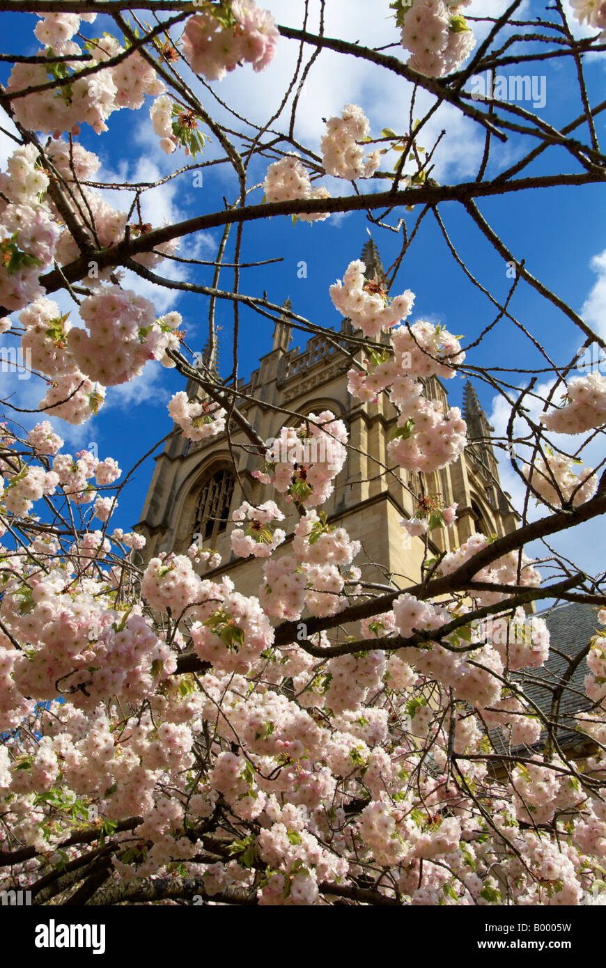 Blossom england spring hi-res stock photography and images - Alamy