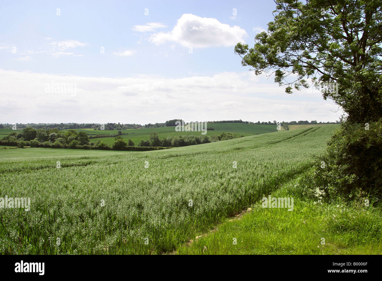 Swalcliffe High Resolution Stock Photography and Images - Alamy