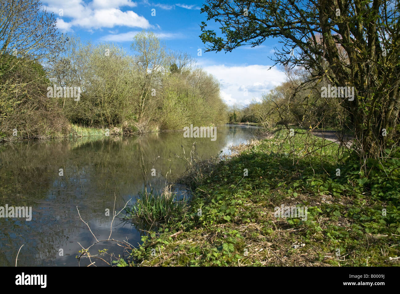 Theale canal hi-res stock photography and images - Alamy