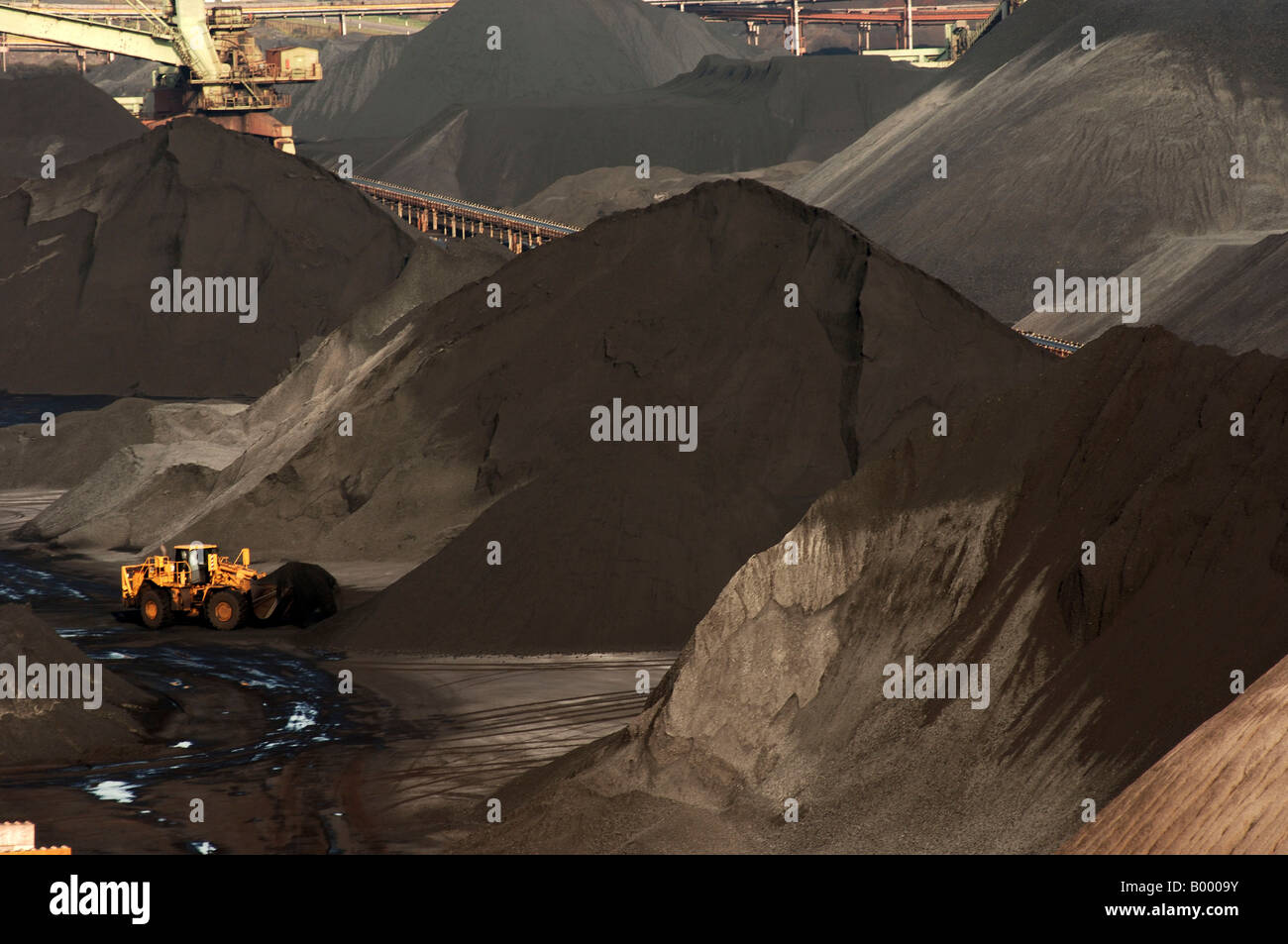 The EMO dry bulk terminal on Maasvlakte, raw materials such as iron ore ...