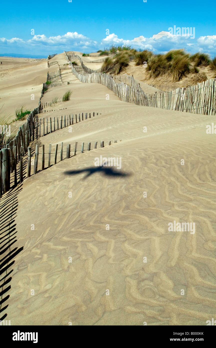 BEACH OF ESPIGUETTE - GRAU DU ROI - GARD - LANGUEDOC-ROUSSILLON ...