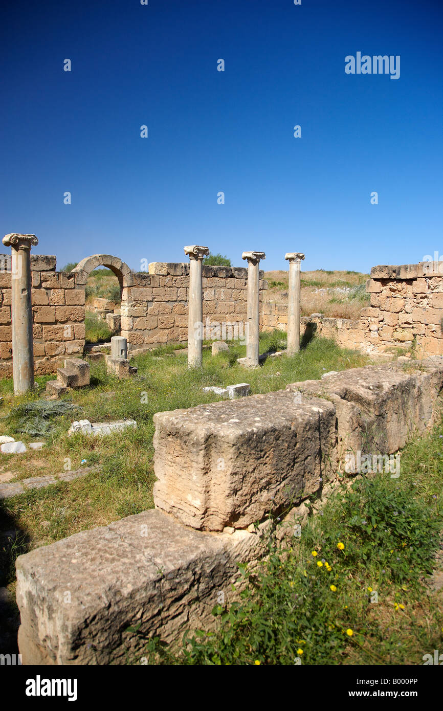 Leptis hi-res stock photography and images - Alamy