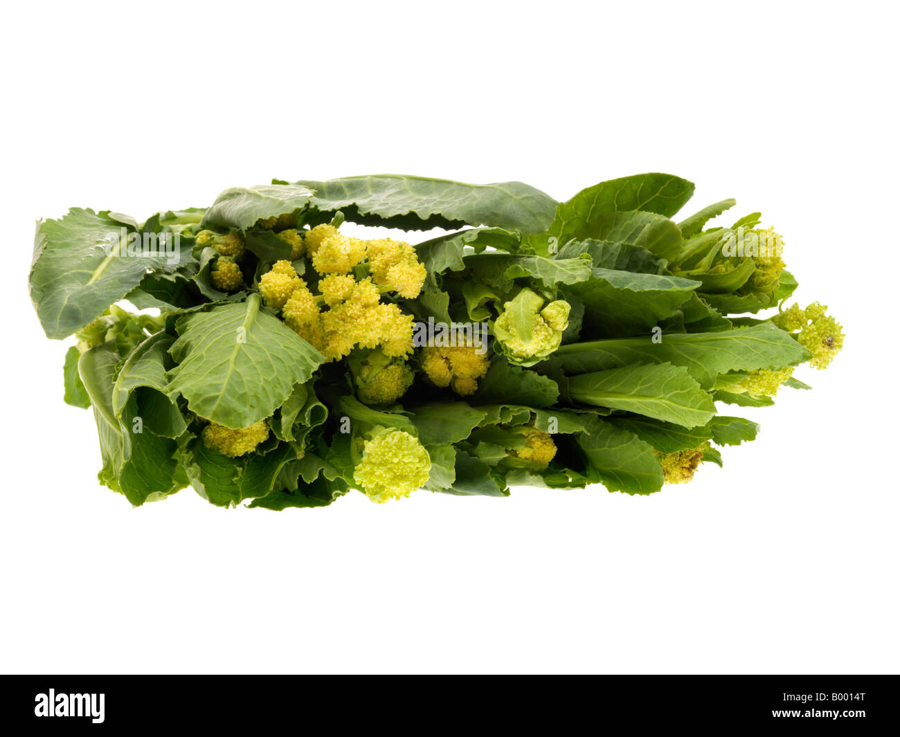 Fresh Ripe Natural Uncooked Golden Yellow Sprouting Broccoli Vegetable ...