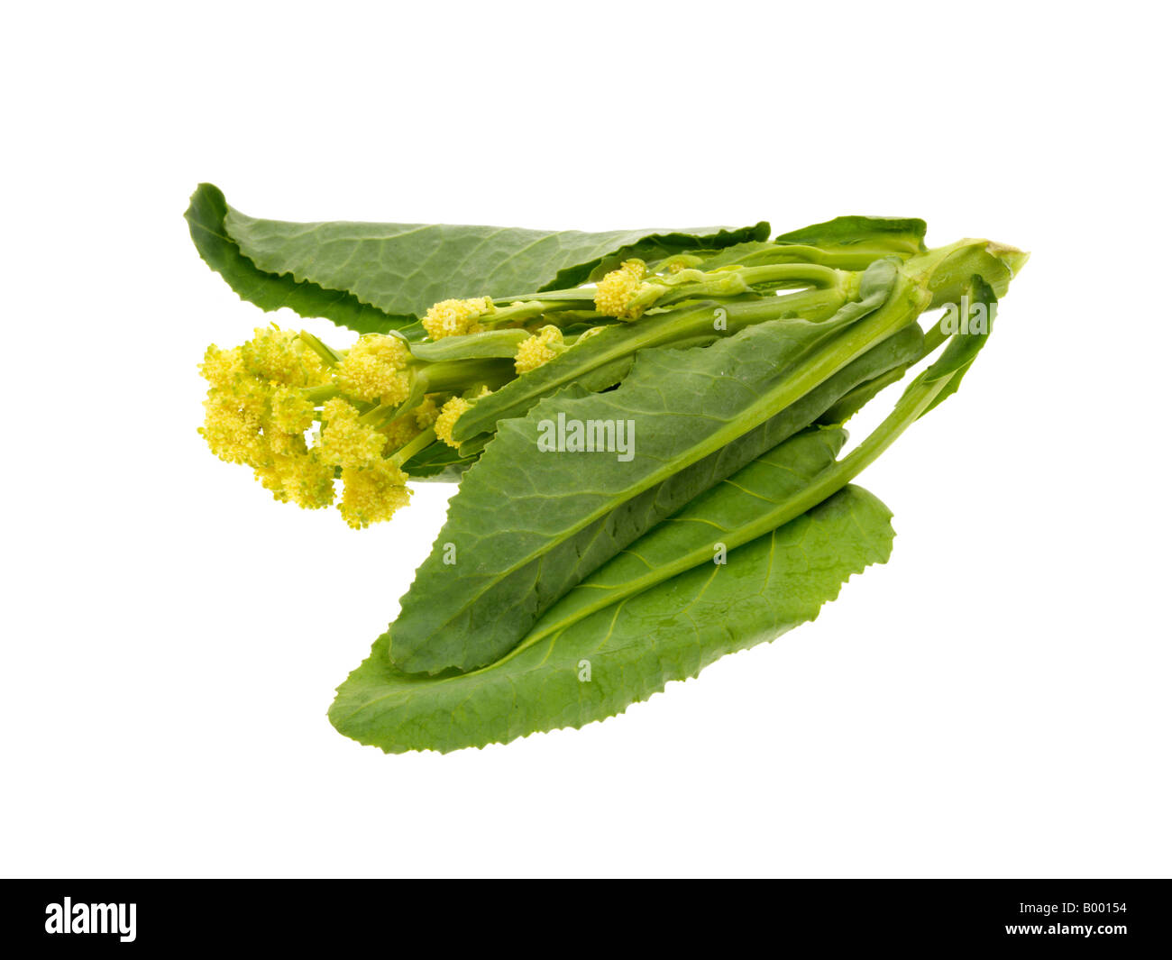 Fresh Ripe Natural Uncooked Golden Yellow Sprouting Broccoli Vegetable ...