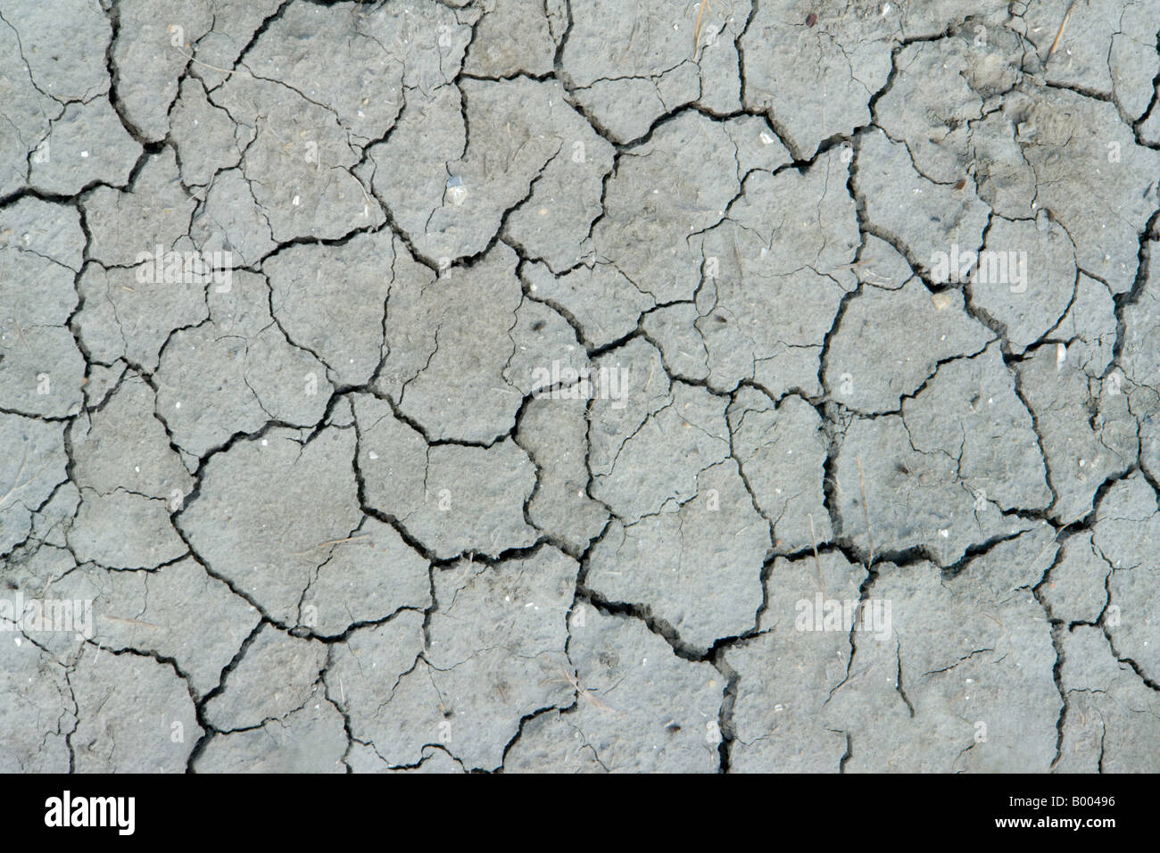 Dried soil hi-res stock photography and images - Alamy