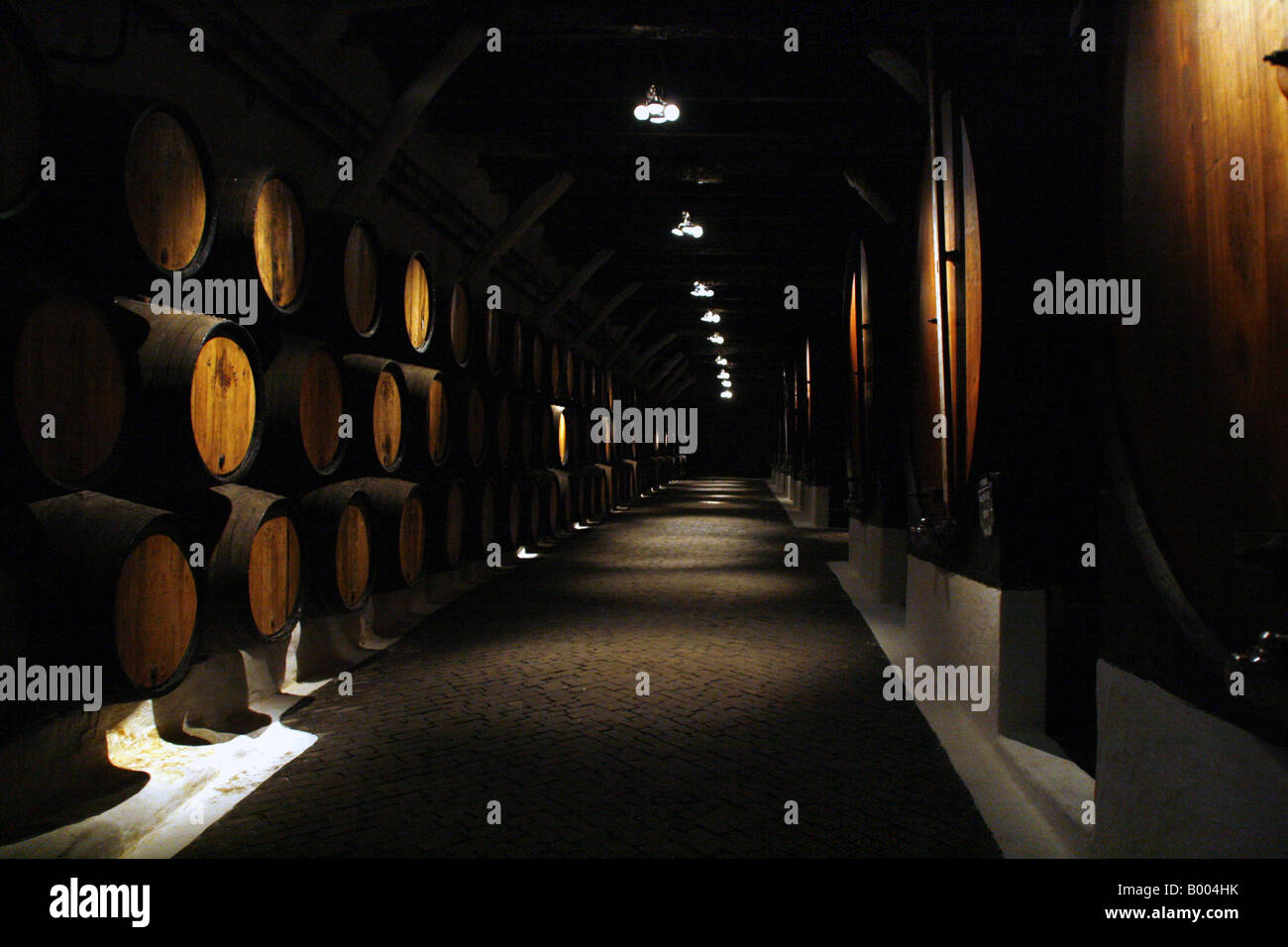 Sandeman sherry bodega, Porto, Portugal Stock Photo - Alamy
