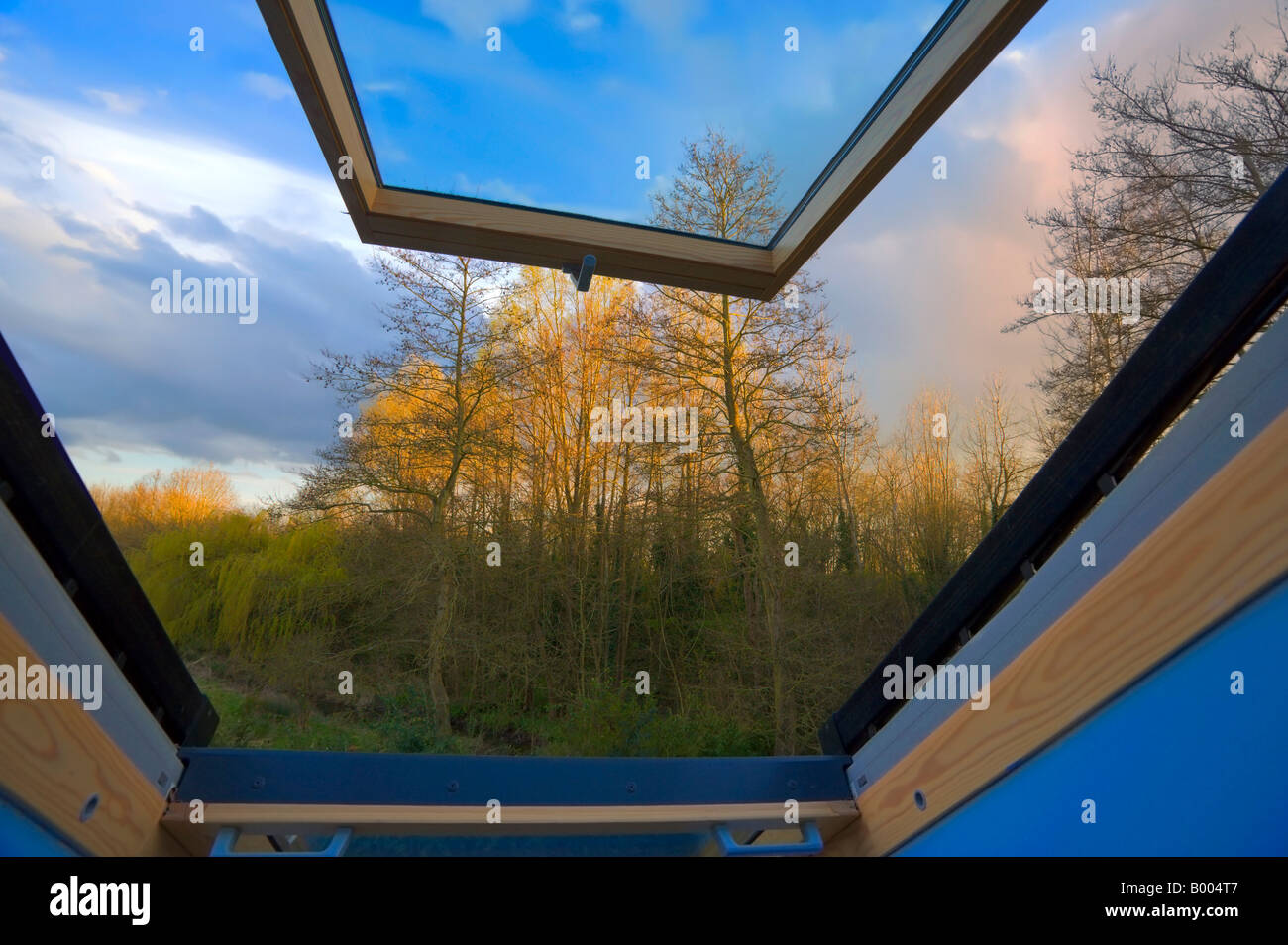 trees in a forest at sunset view from an open loft window Stock Photo ...