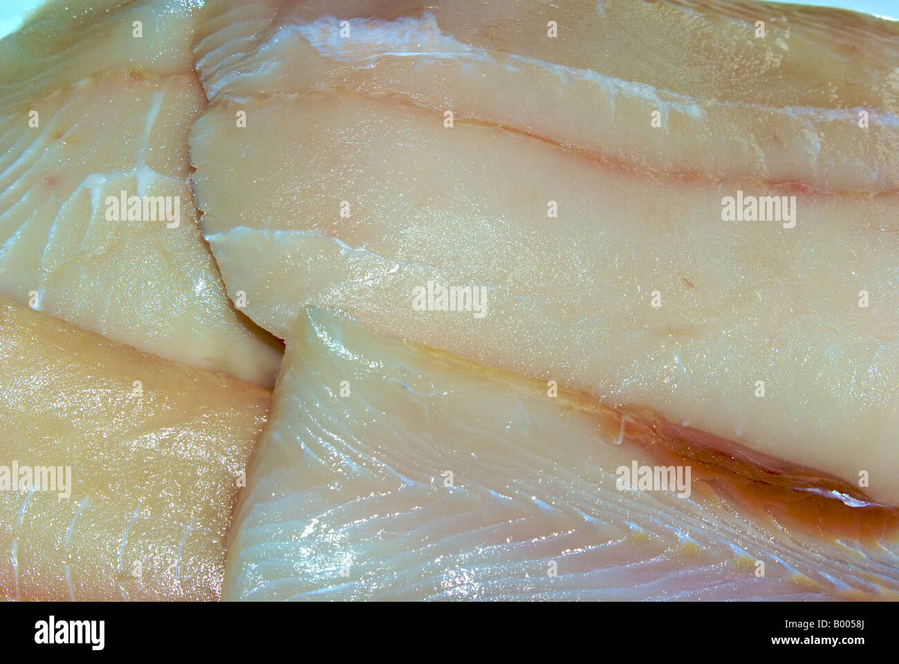 Boneless skinless and uncooked pieces of halibut fillet Stock Photo - Alamy