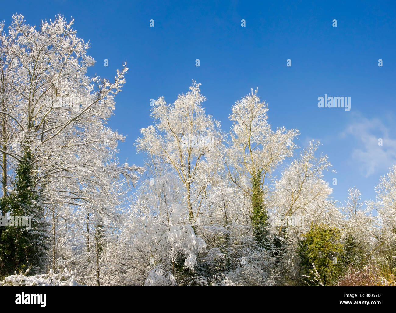A snow covered rural landscape in the countryside Stock Photo - Alamy