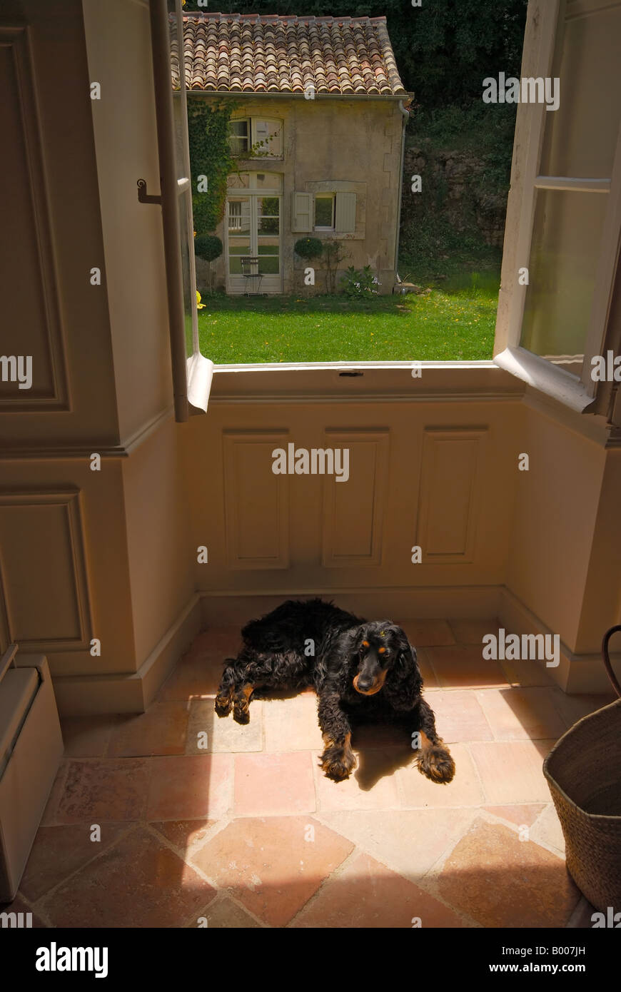 Kitchen window garden hi-res stock photography and images - Alamy