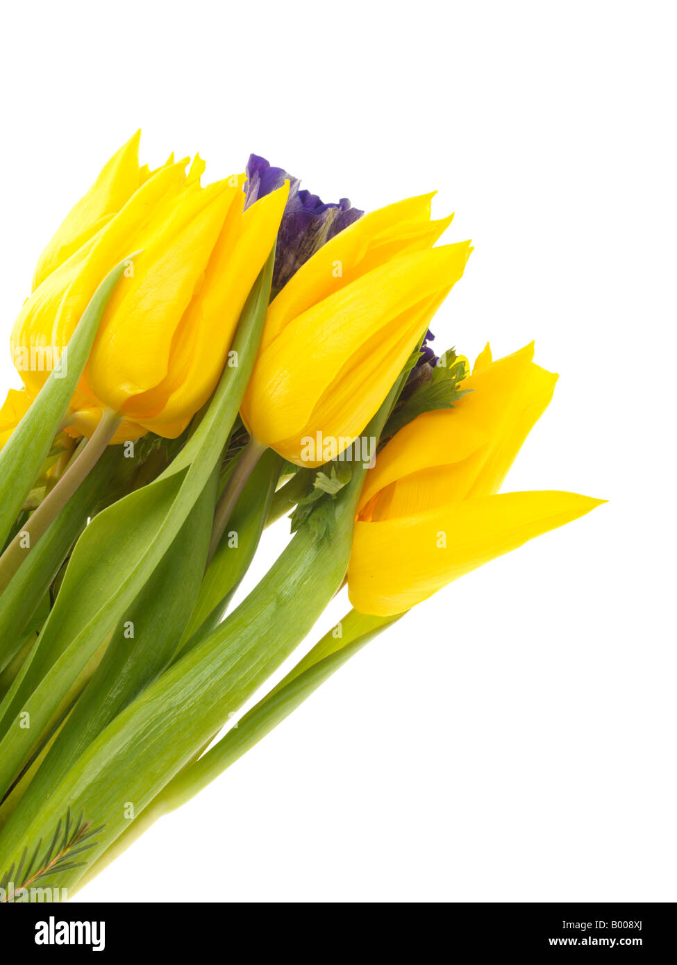 Bunch of Spring Flowers Stock Photo - Alamy